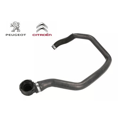 Mangueira Do Radiador Inferior Peugeot Expert Citroen Jumpy